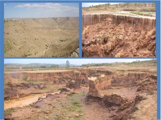 Conservation-Based Agricultural Development-Led Industrialization ...