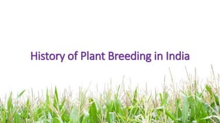Evolutionary concepts of genetics and plant breeding | PPTX