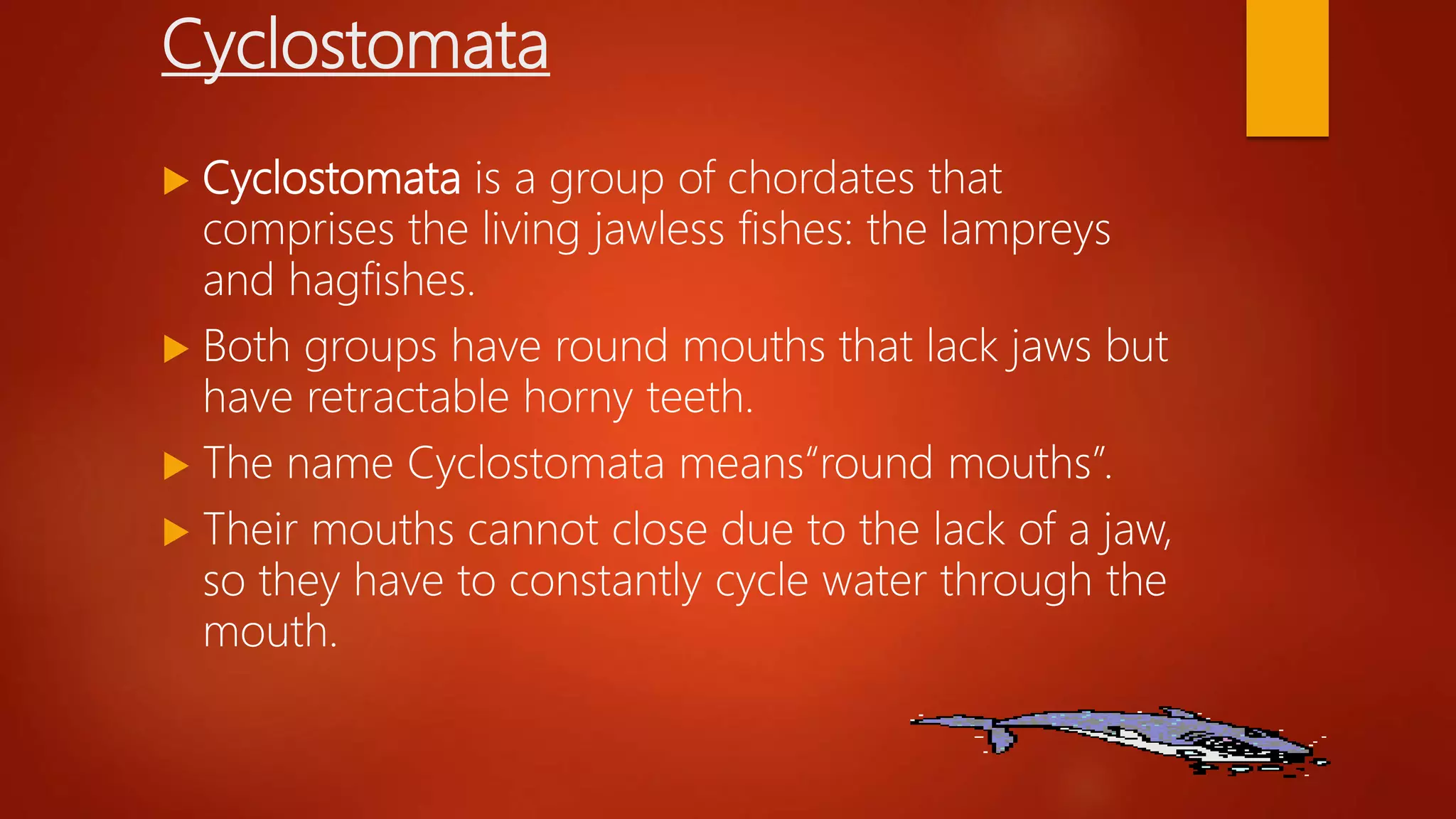 evolution of jaw | PPTX