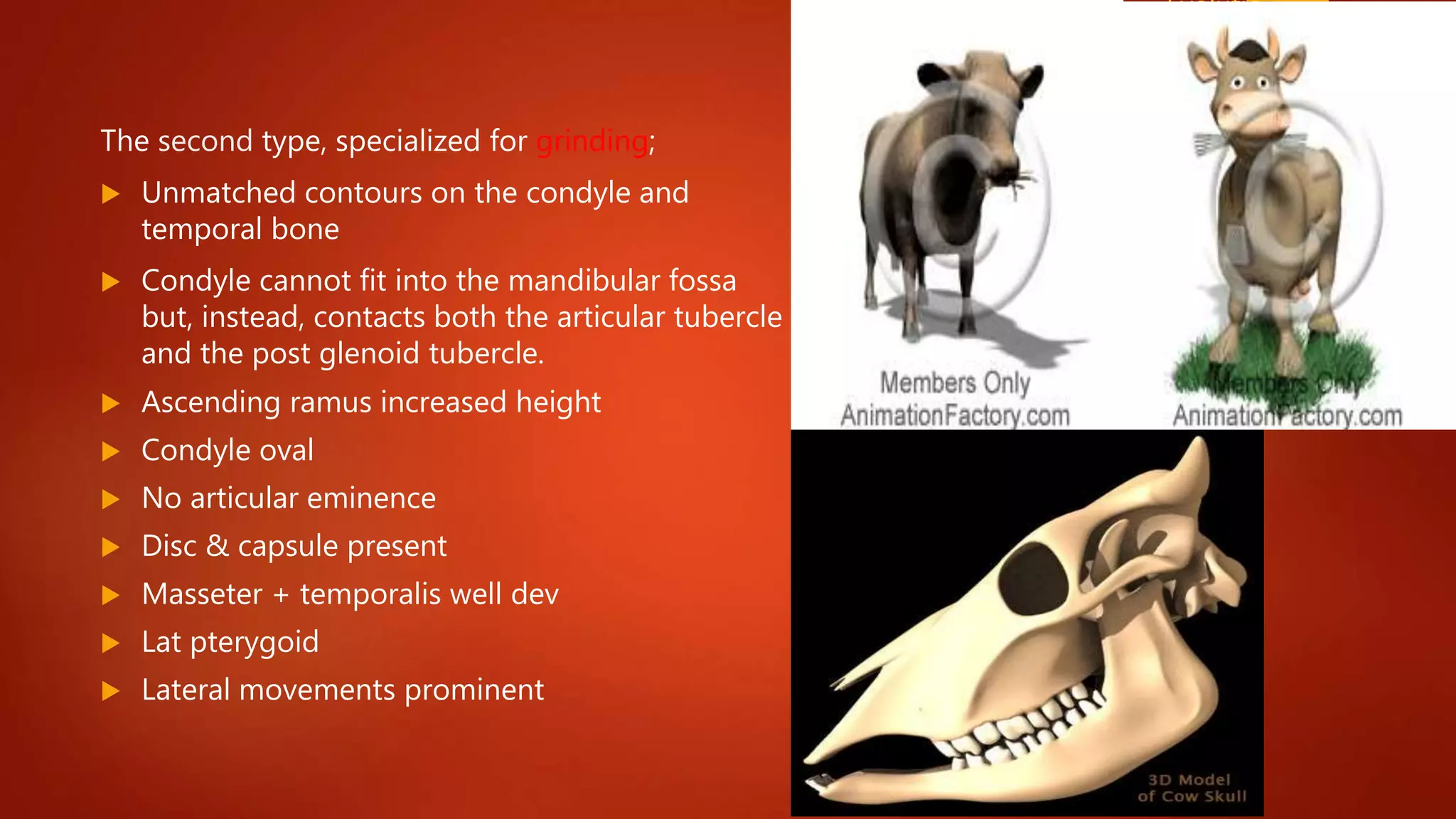 evolution of jaw | PPTX