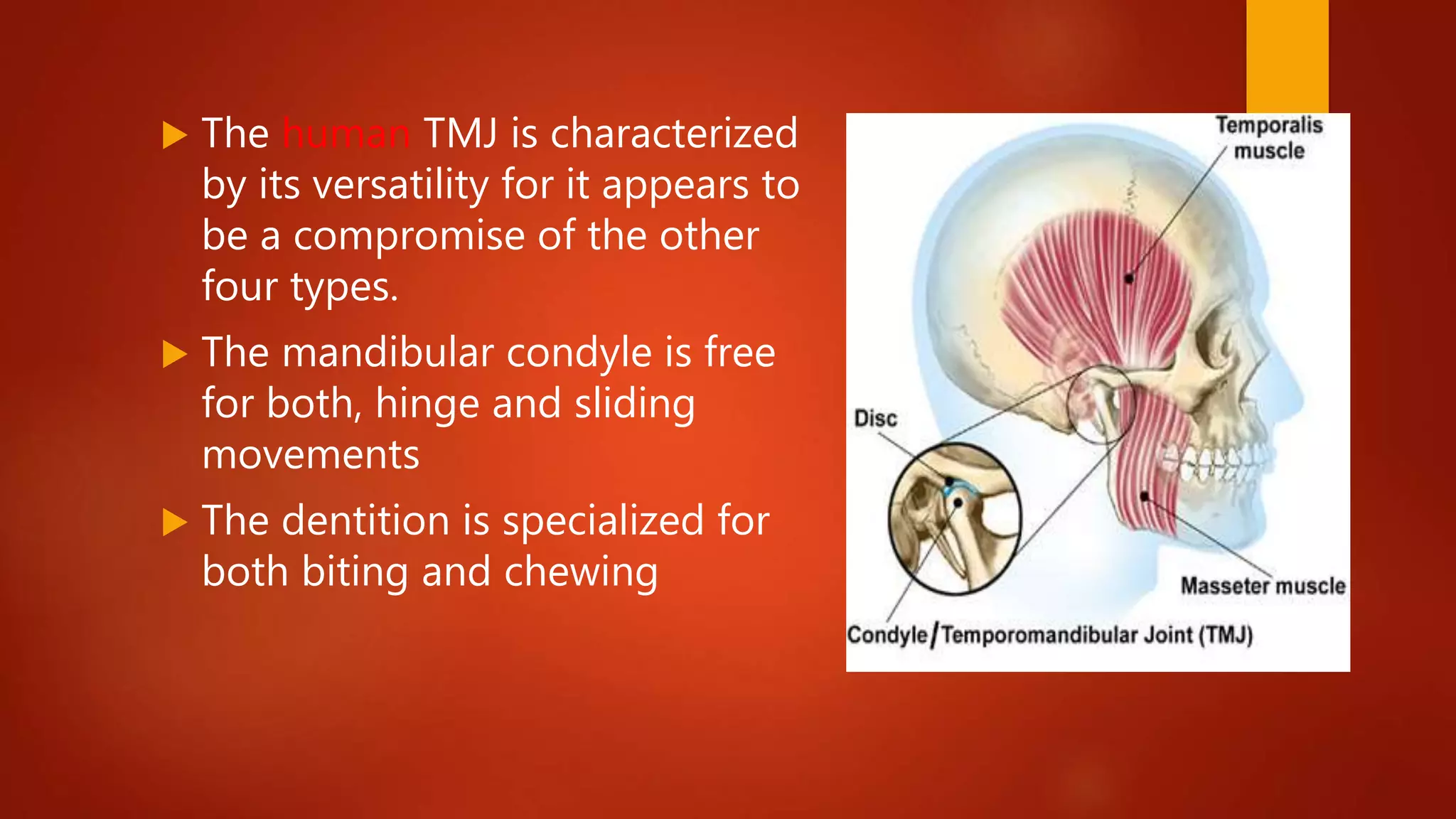 evolution of jaw | PPTX