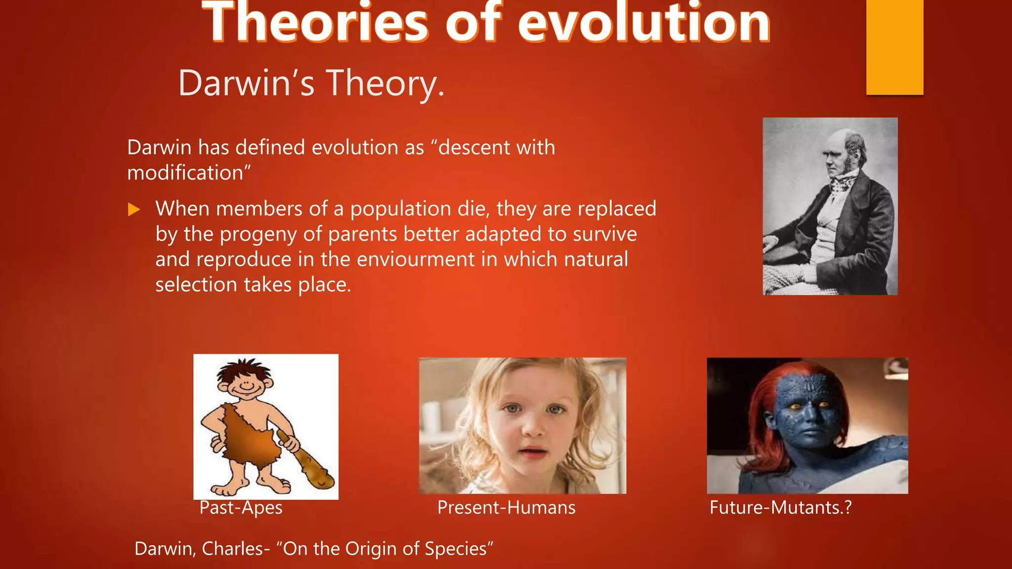 evolution of jaw | PPTX