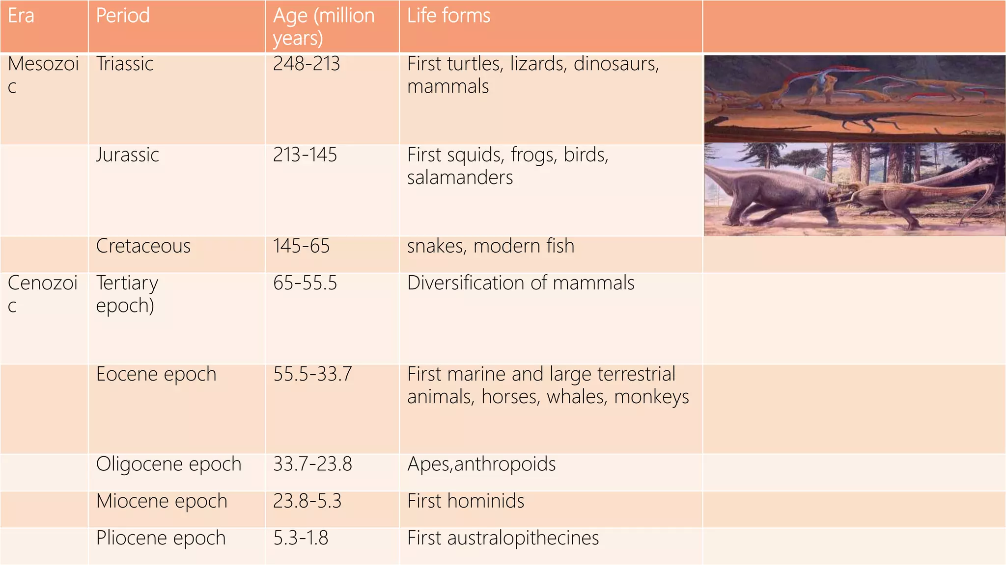 evolution of jaw | PPTX