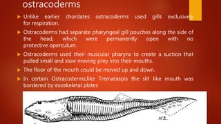 evolution of jaw | PPTX