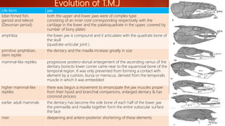 evolution of jaw | PPTX