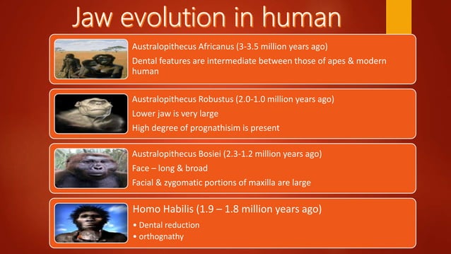 evolution of jaw | PPTX