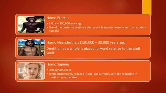 evolution of jaw | PPTX