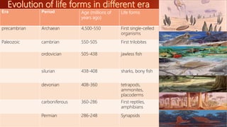 evolution of jaw | PPTX