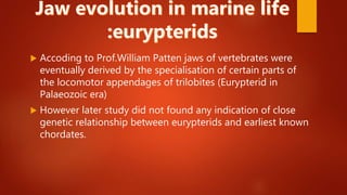 evolution of jaw | PPTX