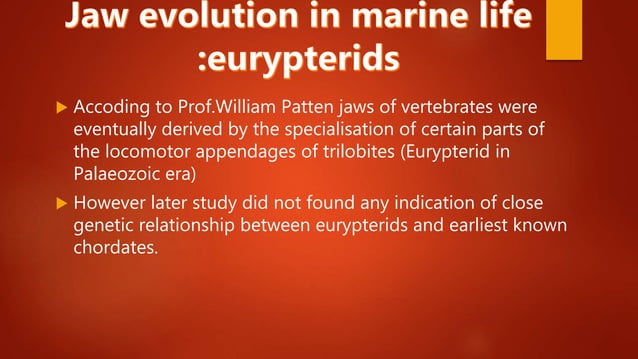 evolution of jaw | PPTX