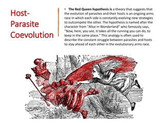 2 Evolution of Parasitism.pptx