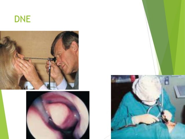 2 examination of nose and pns | PPTX