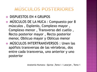 2 EXPLORACIÓN DE COLUMNA CERVICAL.pptx