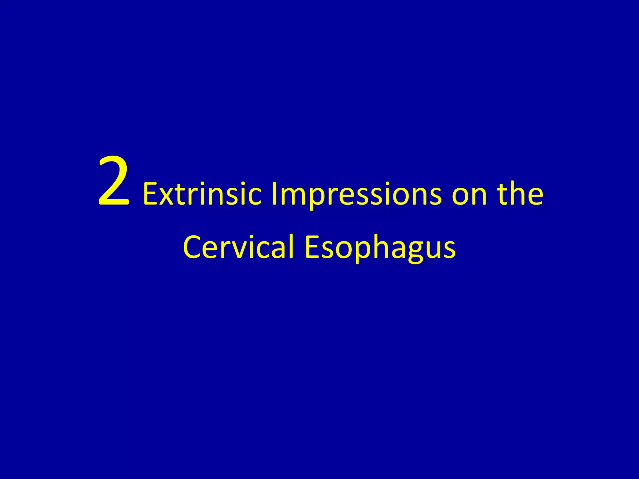 2 extrinsic impressions on the cervical esophagus | PPT