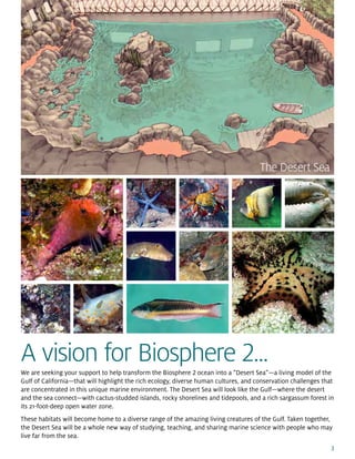 DesertSea.2015Portfolio.2 | PDF