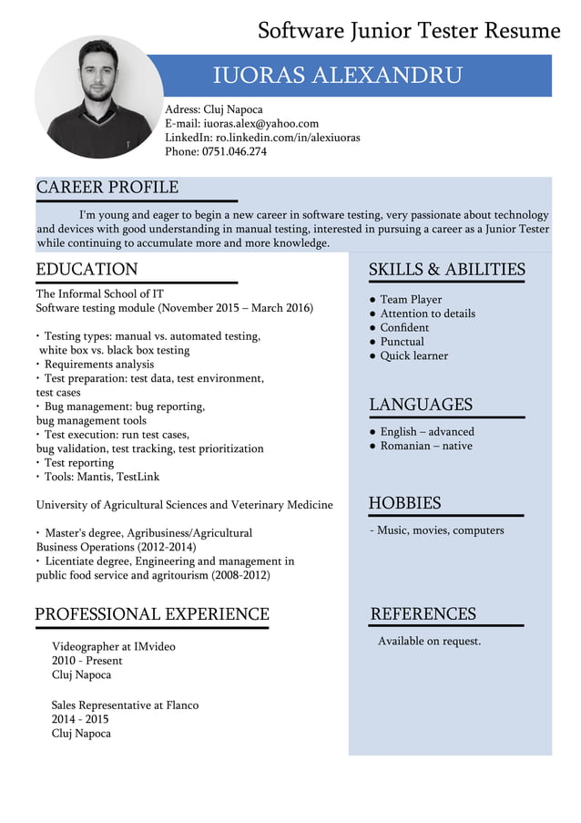 CV Iuoras Alex | PDF