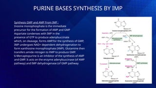 BIOSYNTHESIS OF PURINES AND PYRIMIDINES. | PPTX