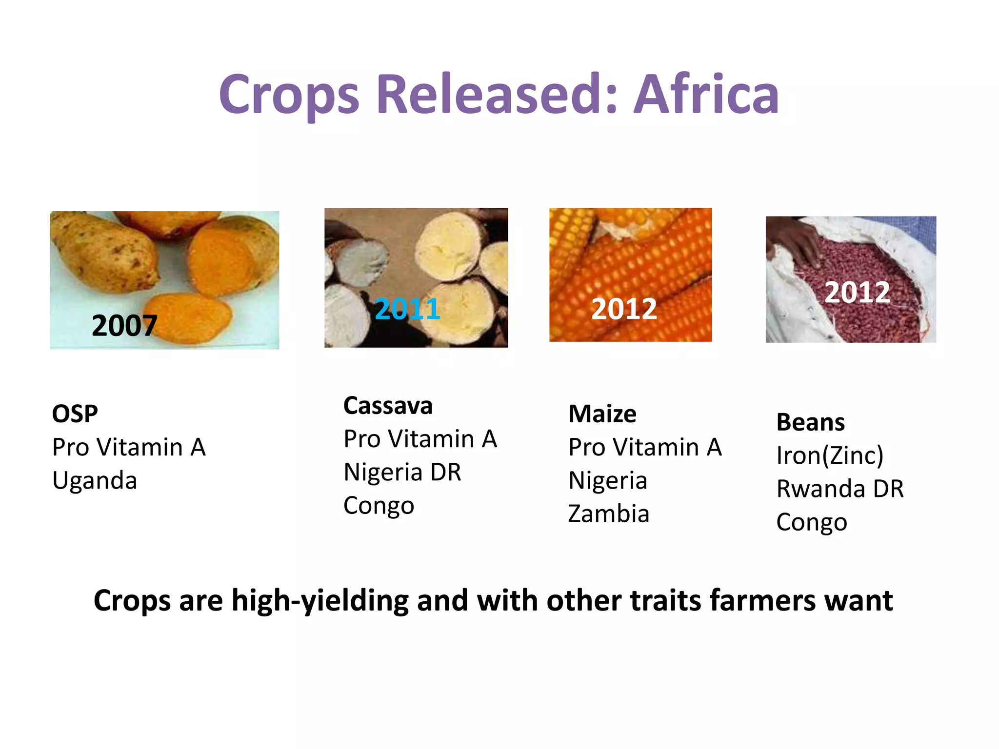 Biofortified Crops PPT IRRI | PPTX