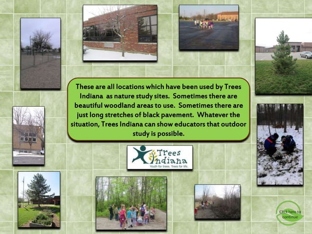 Assess the school yard | PPT
