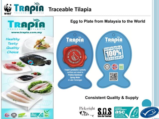 Trapia Malaysia | PDF