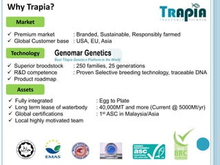 Trapia Malaysia | PDF