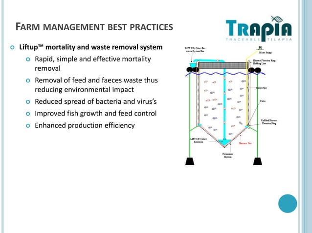 Trapia Malaysia | PDF