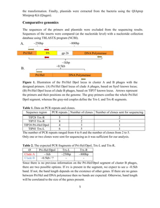 project- Liron Schwartz | PDF