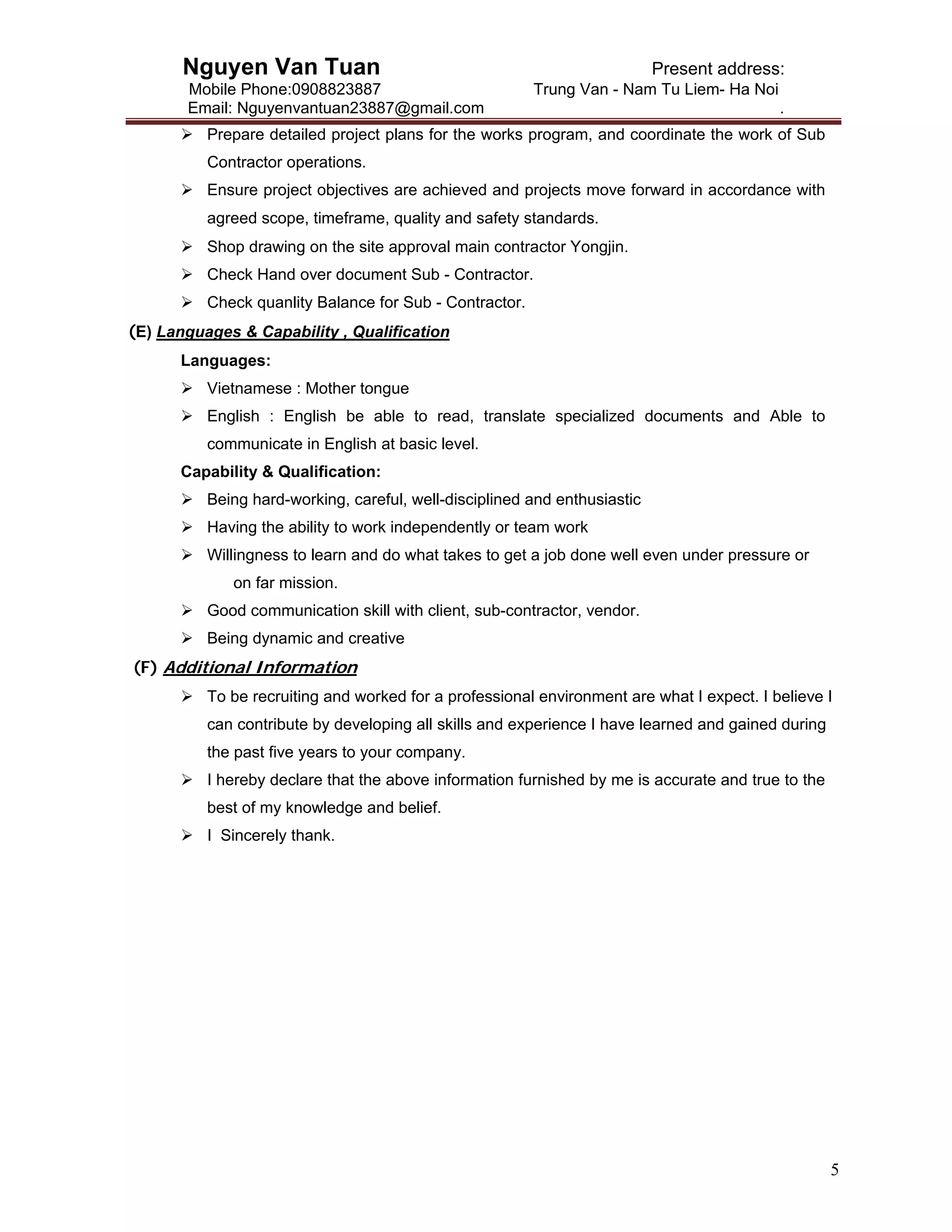 Nguyen Van Tuan - English | PDF