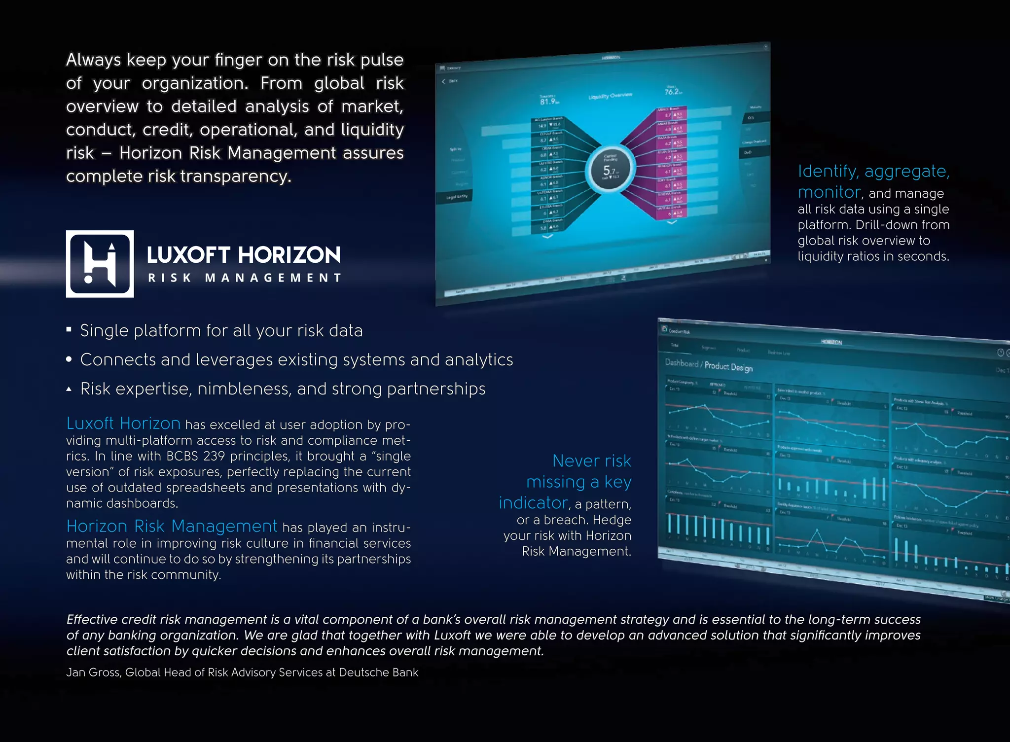Luxoft Horizon - Brochure | PDF