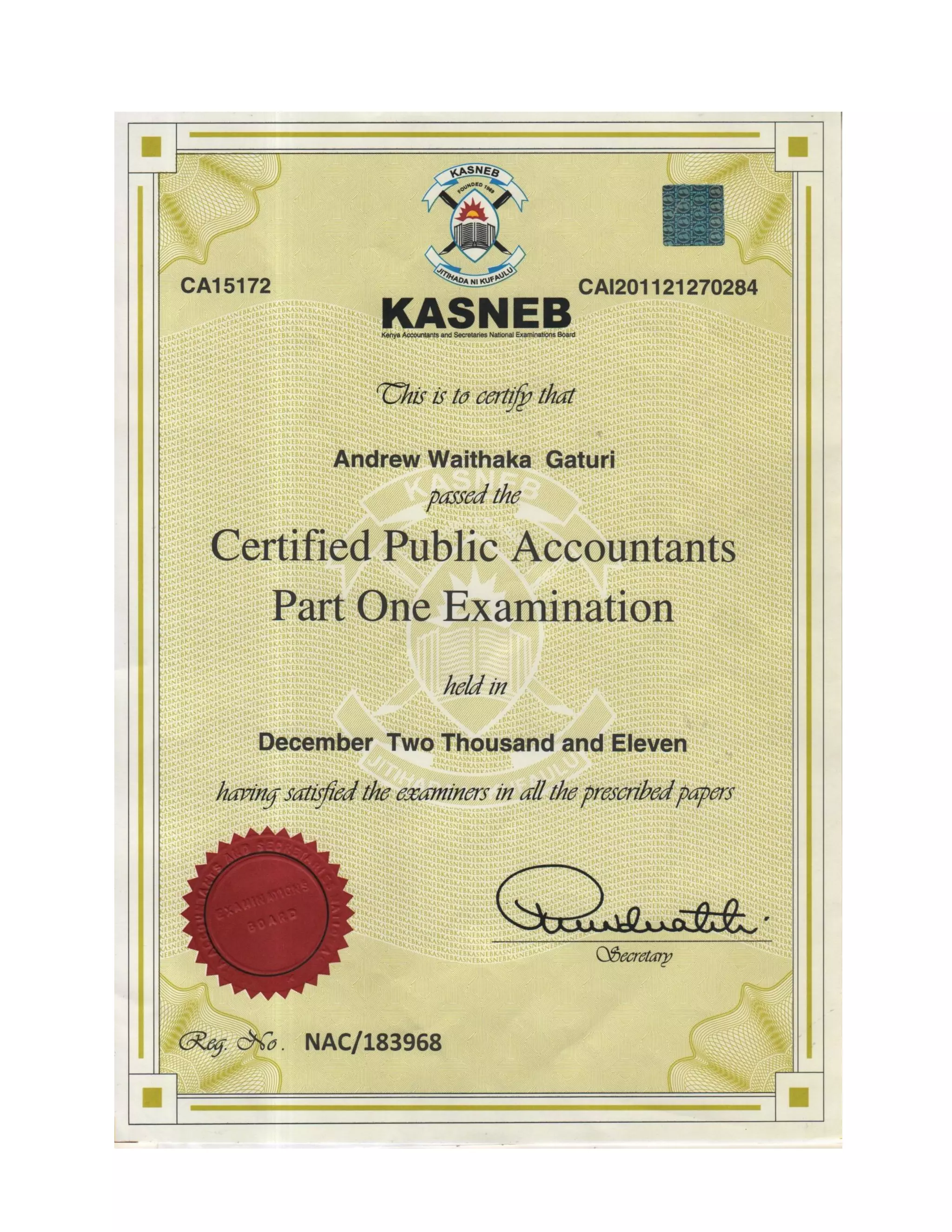 CPA Results | PDF