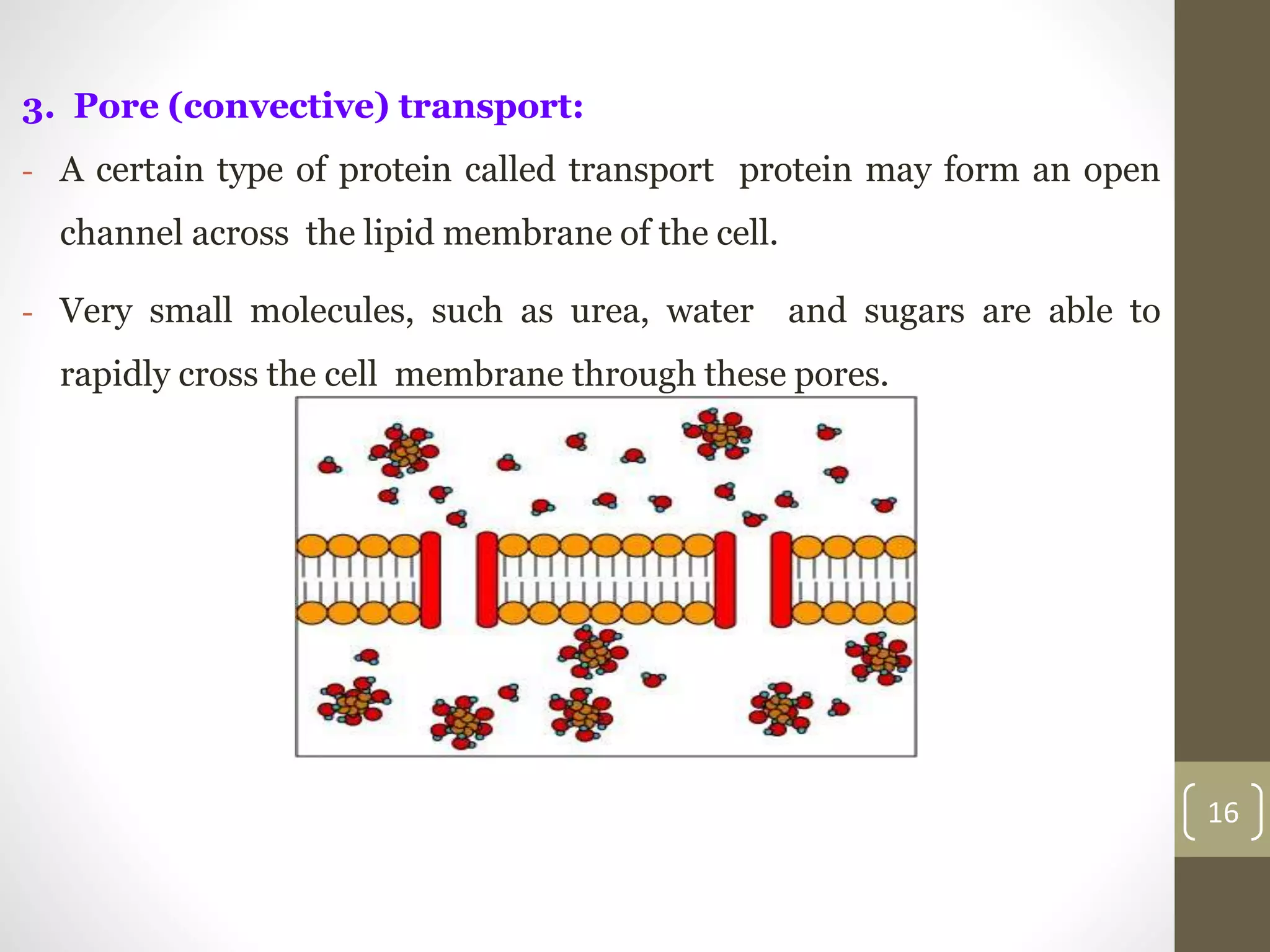 2Factors affecting oral absorption.pptx | Chemistry | Science