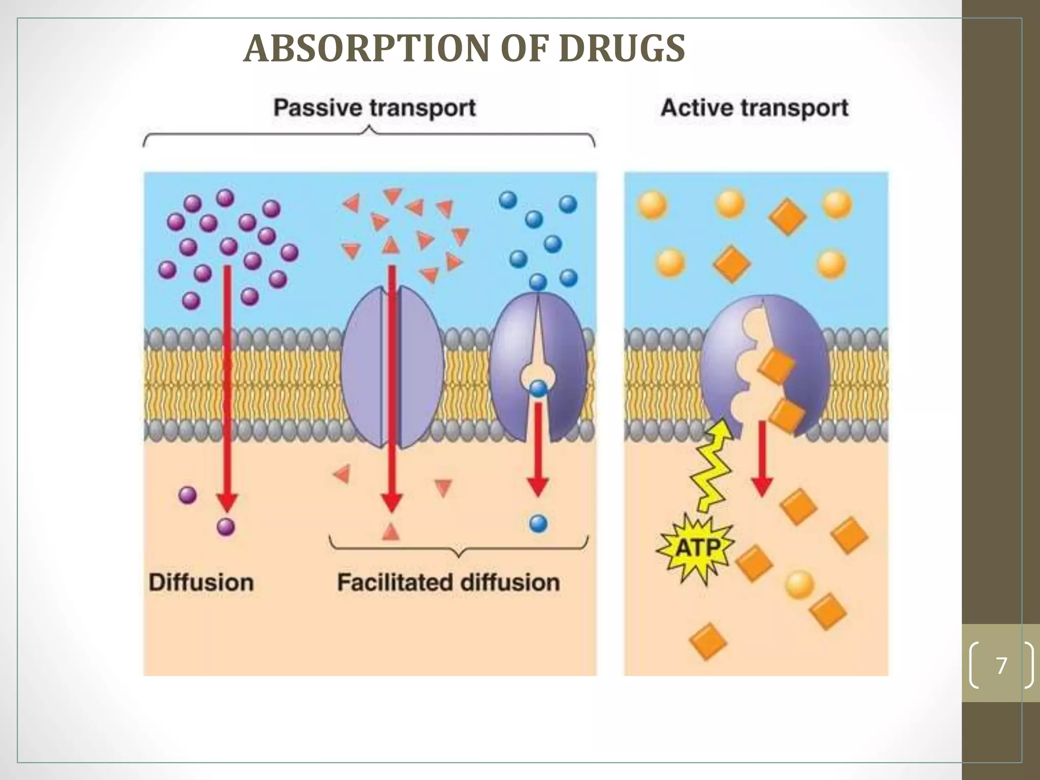 2Factors affecting oral absorption.pptx