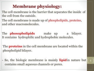 2Factors affecting oral absorption.pptx | Chemistry | Science