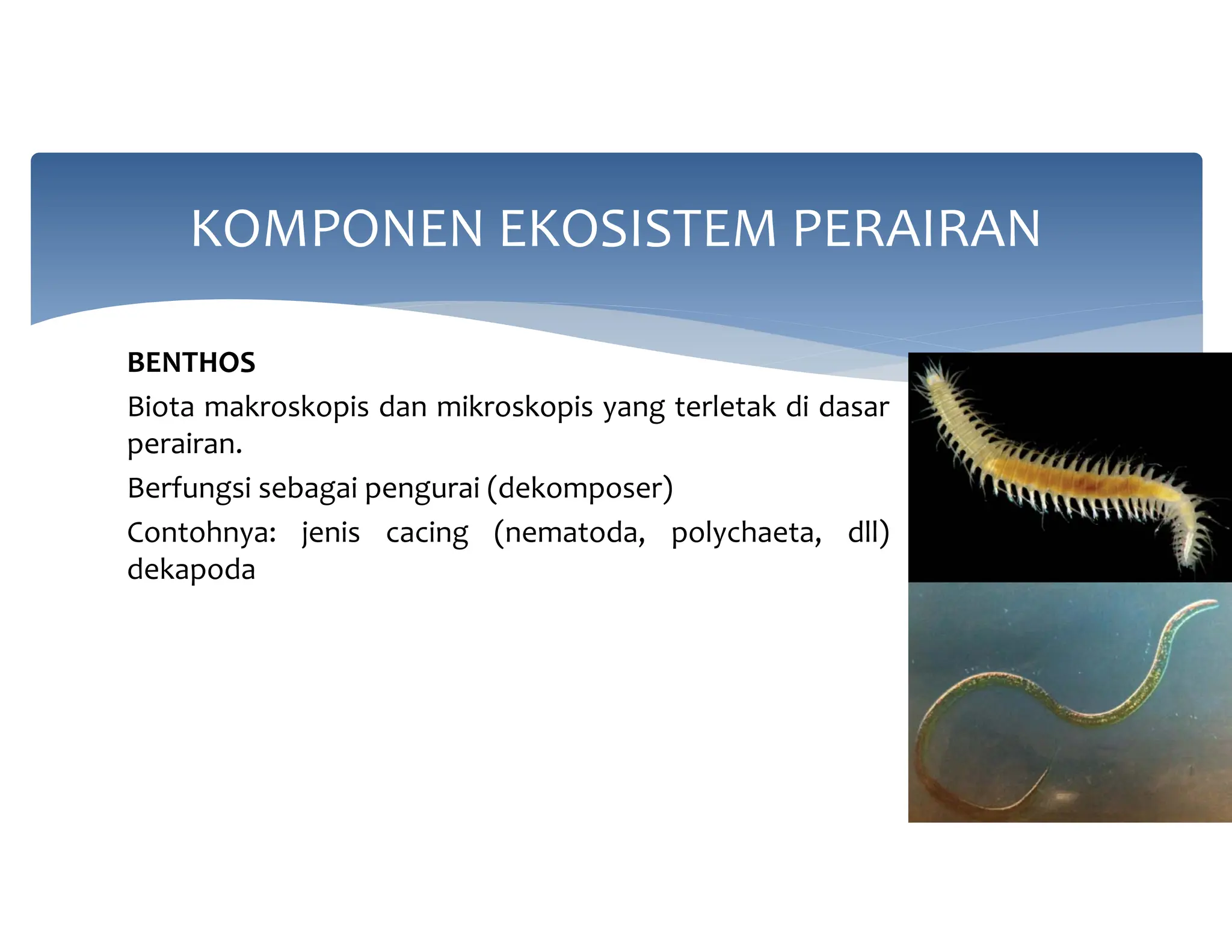 2 Faktor Fisik Kimia Biologi Perairan.pdf