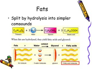 Chapter 4 Nutrients Lesson 2 - Fats and proteins | PPT