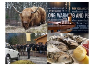 Hello Scotland | PDF