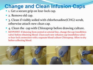 Blood Culture Procedure for CVL PP | PPTX
