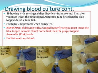 Blood Culture Procedure for CVL PP | PPTX