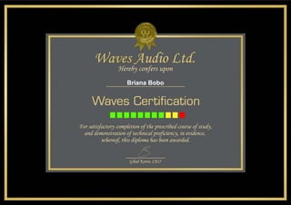 Waves Audio Certificate | PPT