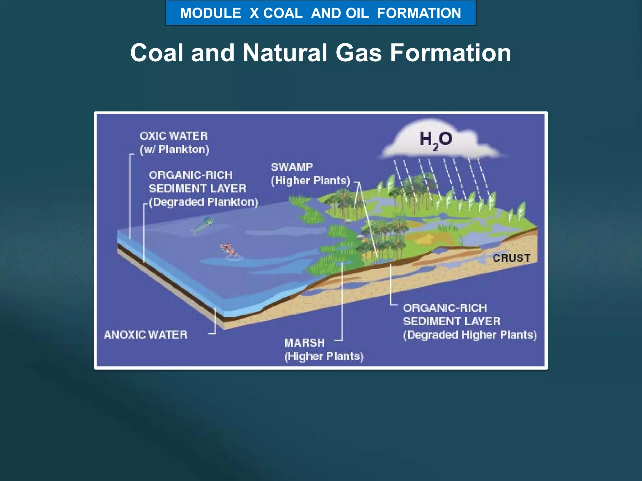 COAL AND OIL FORMATION | PDF