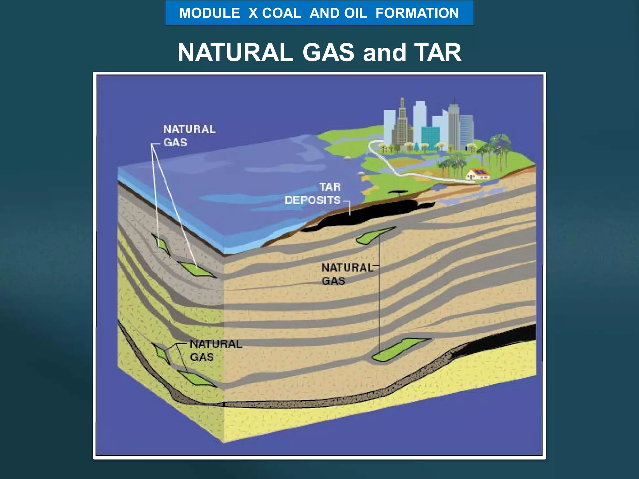 COAL AND OIL FORMATION | PDF