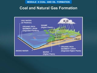 COAL AND OIL FORMATION | PDF