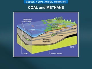 COAL AND OIL FORMATION | PDF