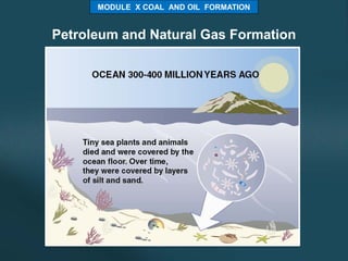 Petroleum Formation