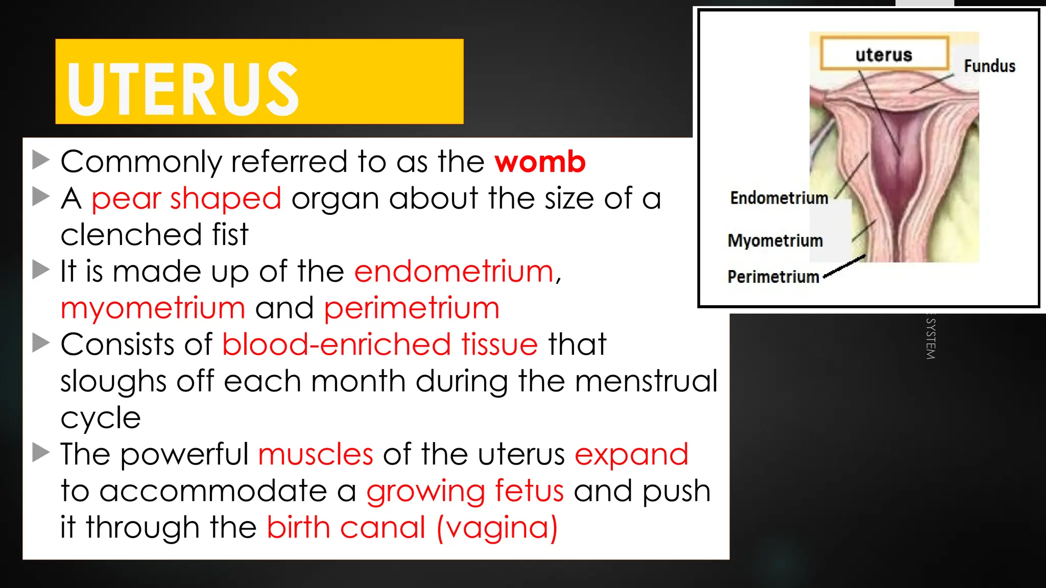 2_Female-Reproductive-system2_Female-Reproductive-system.pptx