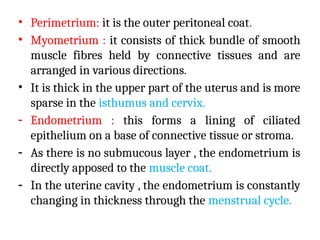Female Organs of Reproduction-OBSTETRICS | PPTX