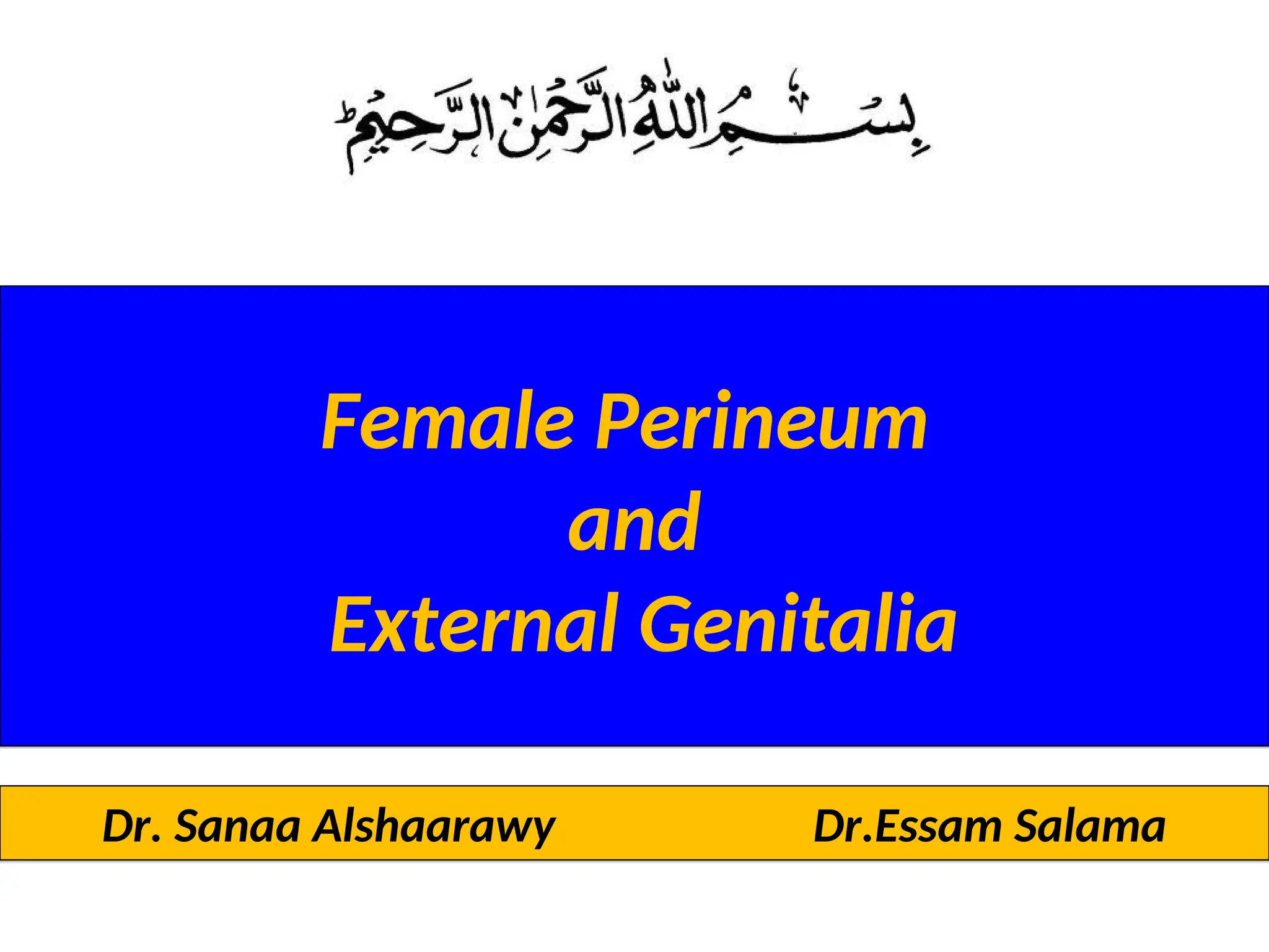 2) Female Perineum and External Genitalia.ppt