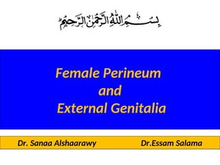 2) Female Perineum and External Genitalia.ppt