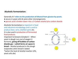 2 fermentation penicillin.pptx pharmacognosy | PPT