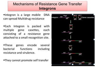 Multi drug resistance molecular pathogenesis | PPTX